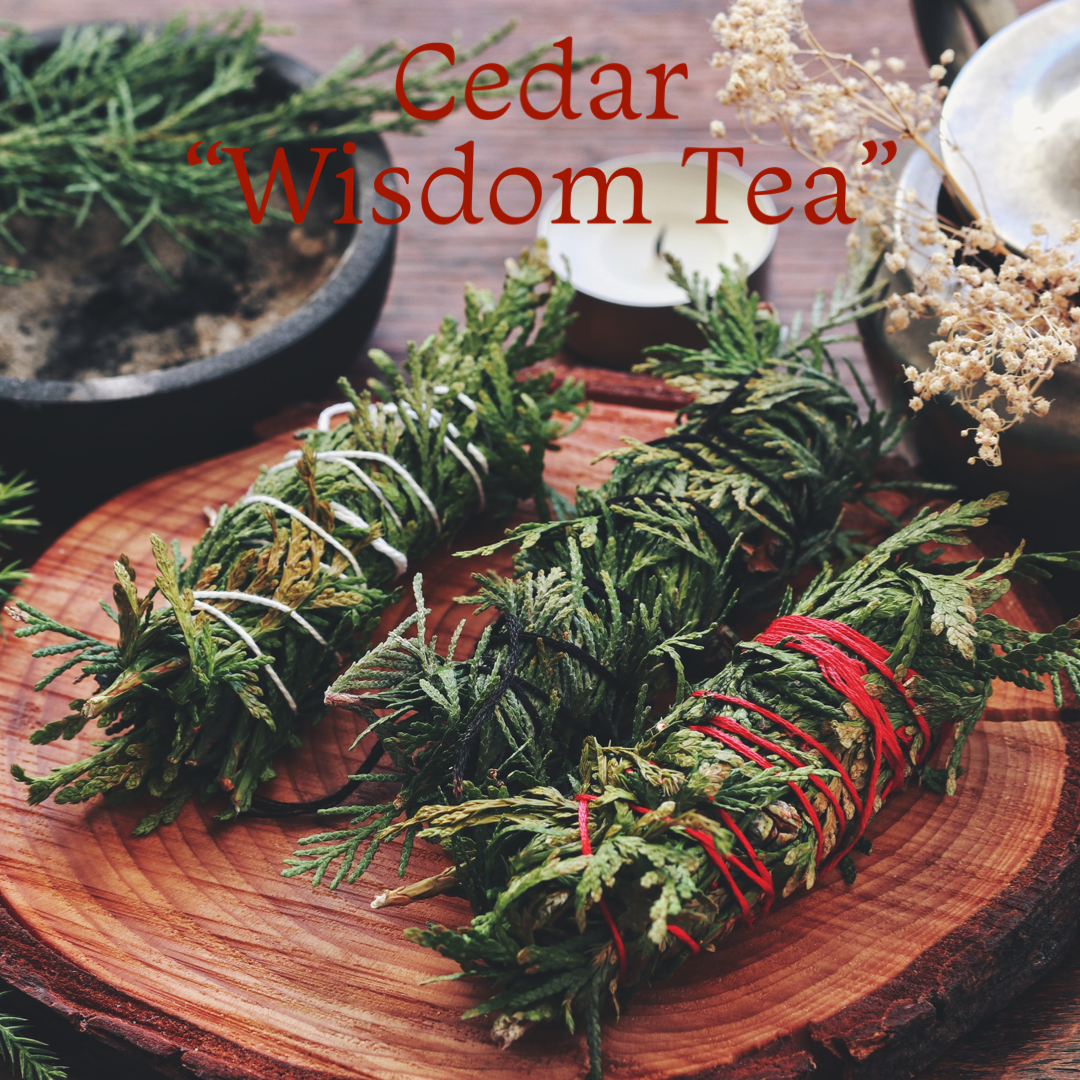 Cedar "Wisdom Tea" - Gina Spriggs